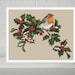 Winter Robin Bird Modern Cross Stitch Pattern PDF Northern Cardinal ...