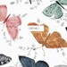 Butterflies Digital Paper Seamless Butterfly Pattern - Etsy