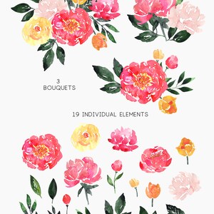 Watercolor Peony Flowers Clipart, Watercolor Peonies, Floral Clipart ...