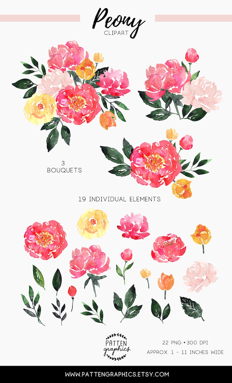 Watercolor Peony Flowers Clipart, Watercolor Peonies, Floral Clipart ...