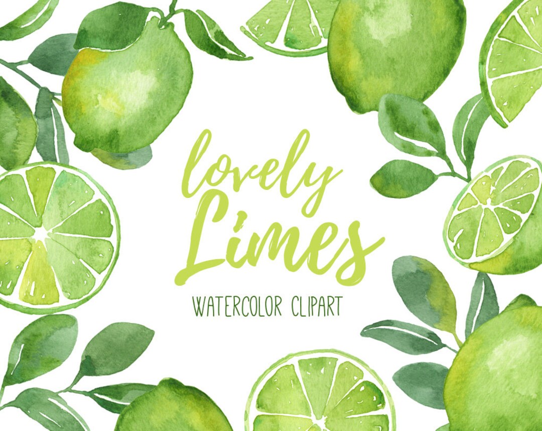 Lime Clipart, Watercolor Lime Clipart, Fruit Clip Art, Citrus Fruit ...