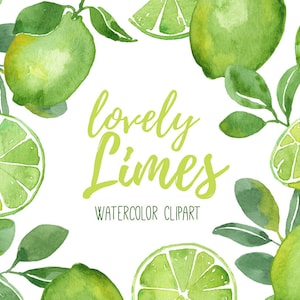 Lime Clipart, Watercolor Lime Clipart, Fruit Clip Art, Citrus Fruit ...