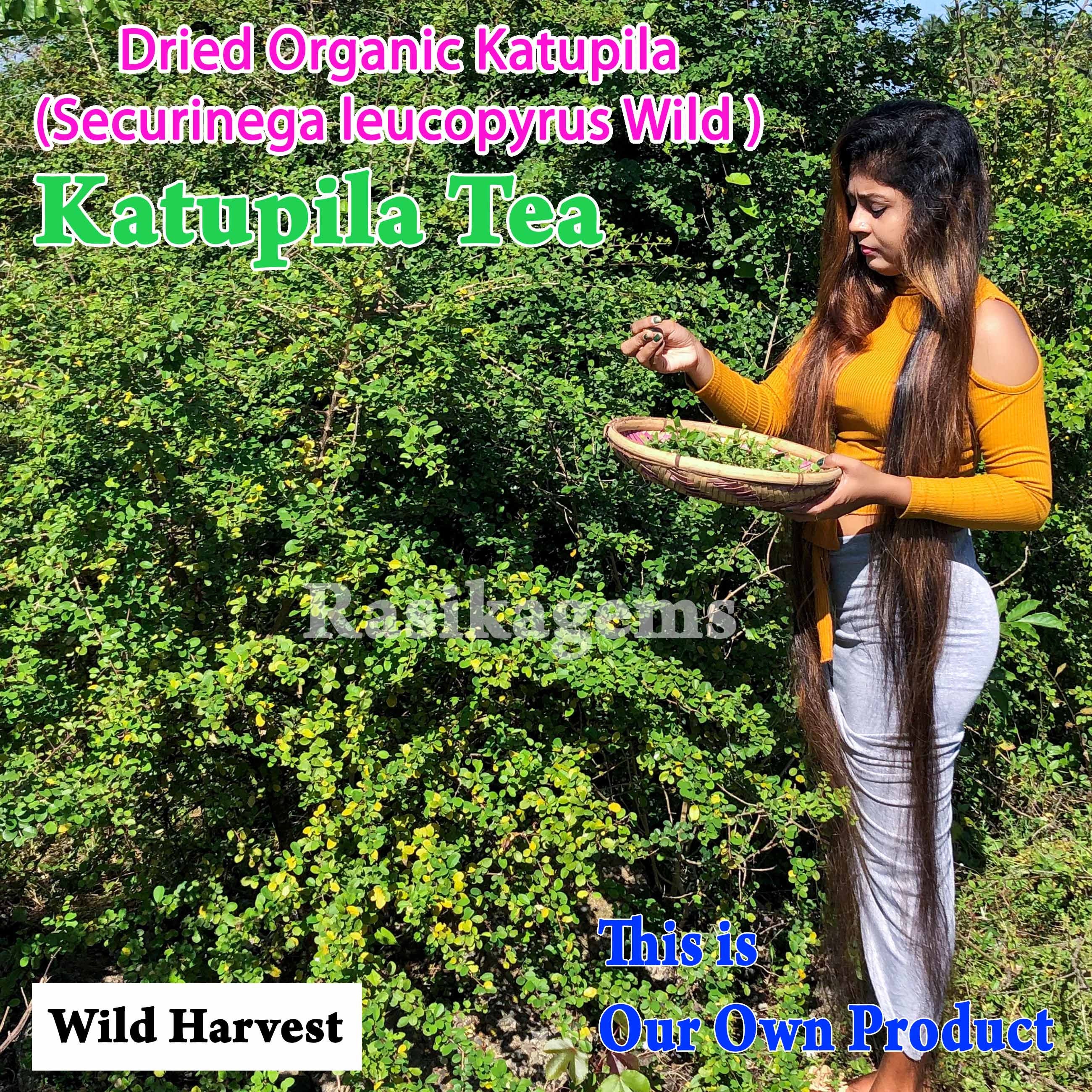 Health Care Best Natural Organic Ultimate Herbal Tea Katupila - Etsy UK