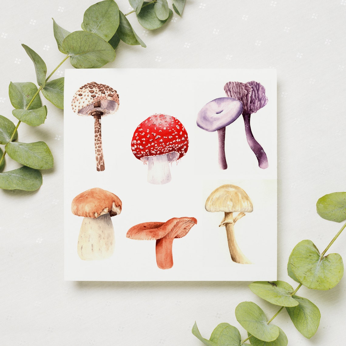 British Toadstool Mushooms Greeting Card / Watercolour Wildlife Art ...