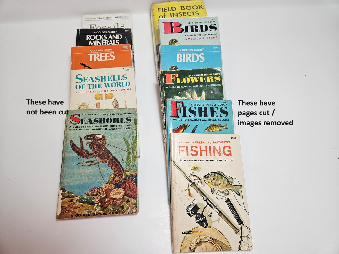 You Choose Your Golden Guide Book, Several Options // Some Not Shown in ...