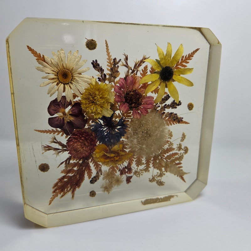 Flower Under Glass - Etsy