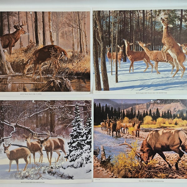 Tom Beecham Print - Etsy