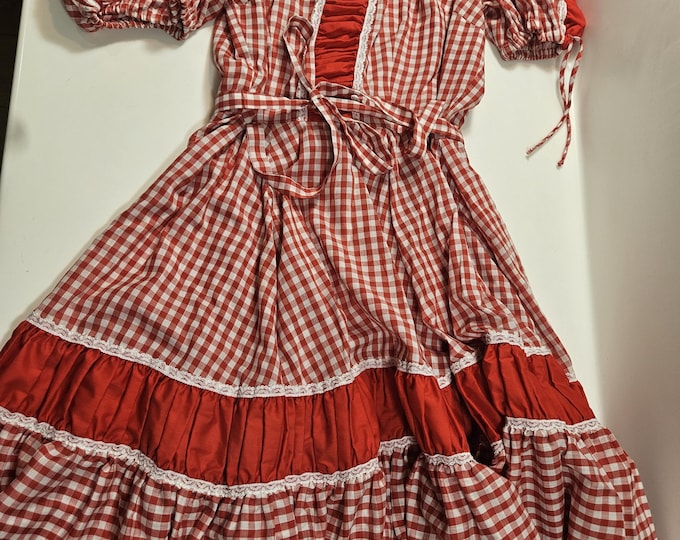 Vintage 1970s Square Dancing Dress, Red Gingham // Best for Size Small ...