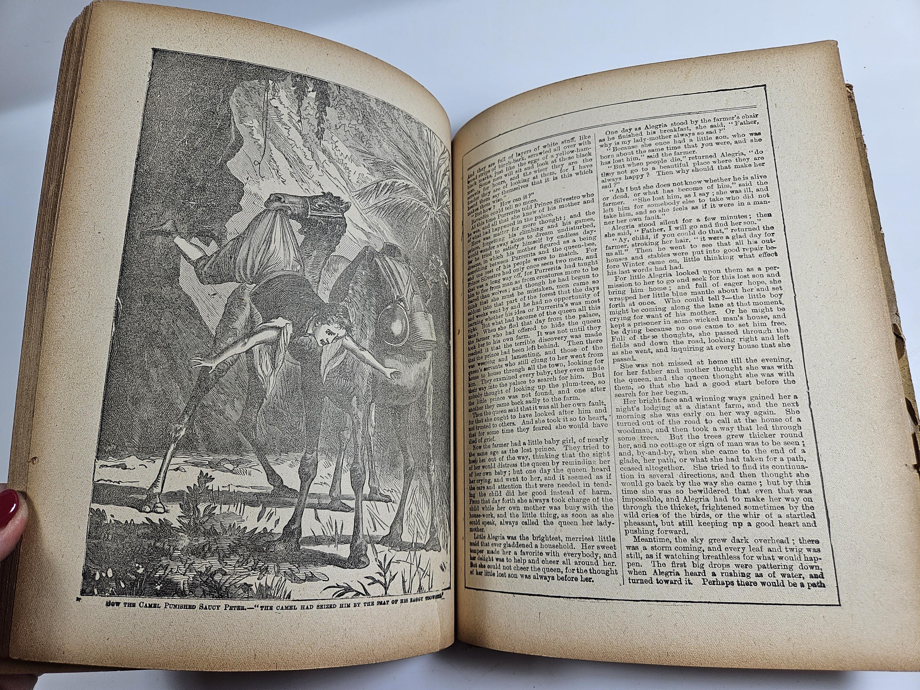 1880s-1890s Children's Book, Merry Times // Published Dewolfe Fiske ...
