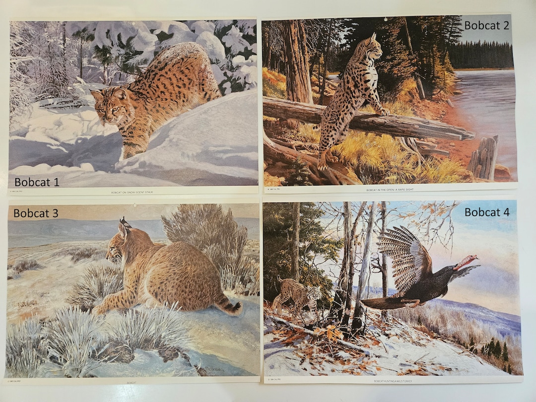 Vtg Wildlife Painting Print for Framing, 10 X 14 Inches // Tom Beecham ...