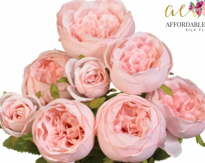 9 Rose Quartz Cabbage Roses, 5 Open Roses, Light Pink Wedding Flowers ...