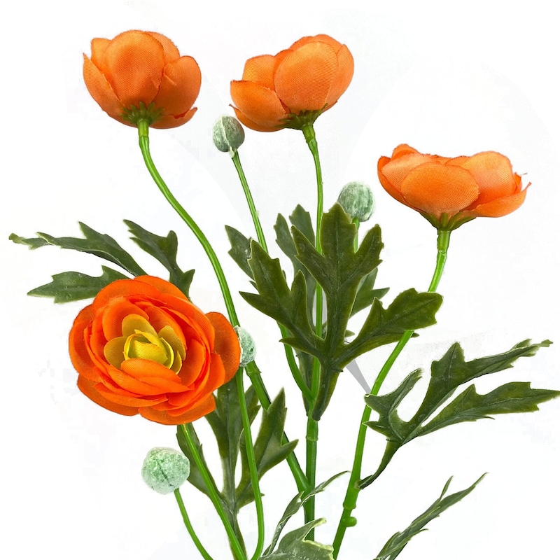 Silk Ranunculus - Etsy