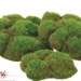 30 Variegated Green Salal Leaf Spray, Tall Greenery Stems, Artificial ...