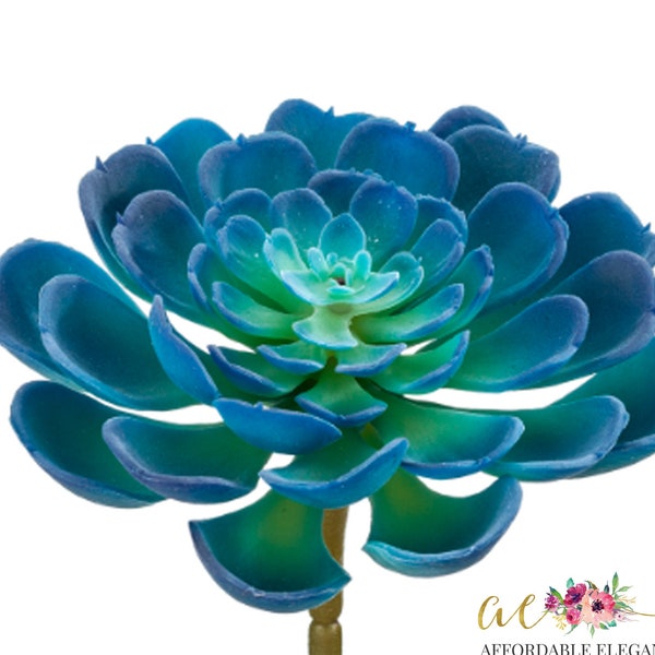 Blue Succulent - Etsy
