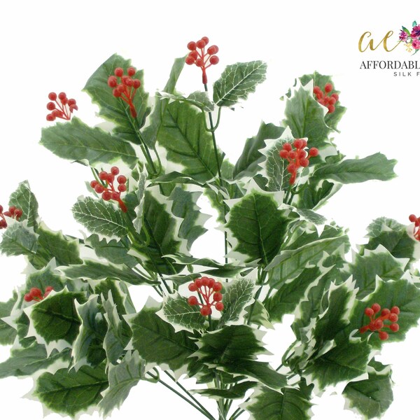 Variegated Holly - Etsy