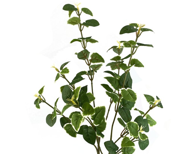 30" Variegated Green Salal Leaf Spray, Tall Greenery Stems, Artificial ...