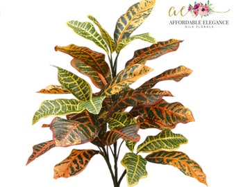 Fake Croton Petra - Etsy