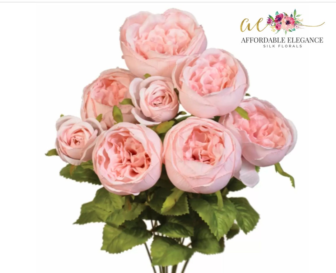 9 Rose Quartz Cabbage Roses, 5 Open Roses, Light Pink Wedding Flowers ...