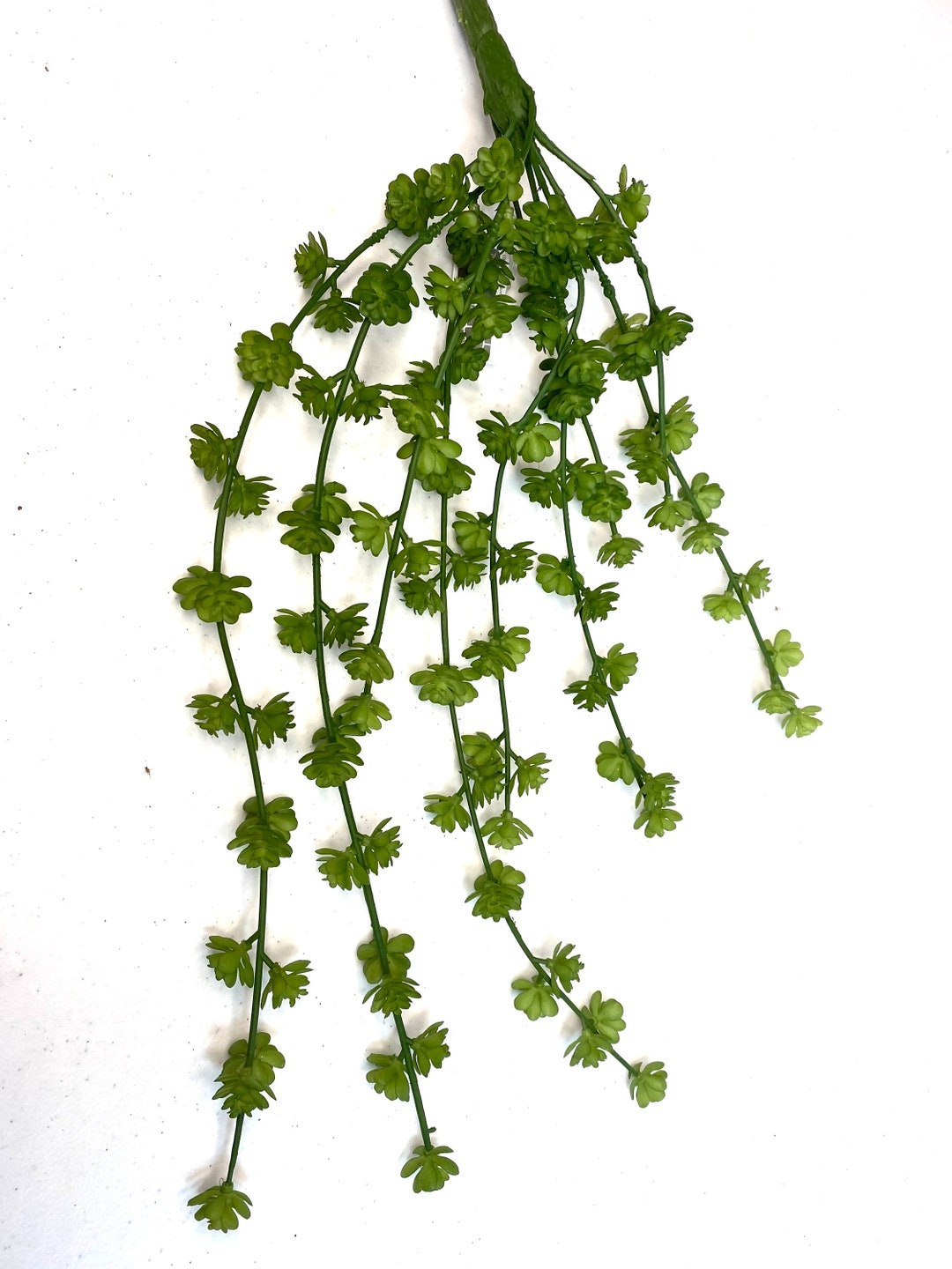 20 Hanging Sedum Succulent Plant, Artificial Greenery, Wall Succulent ...