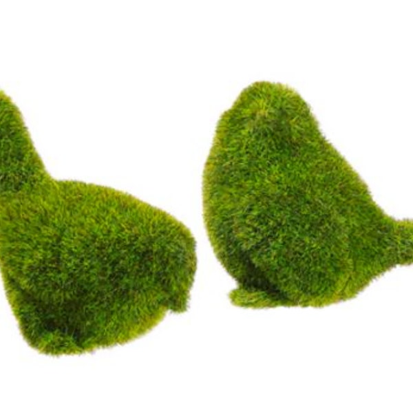 Animal Topiary - Etsy