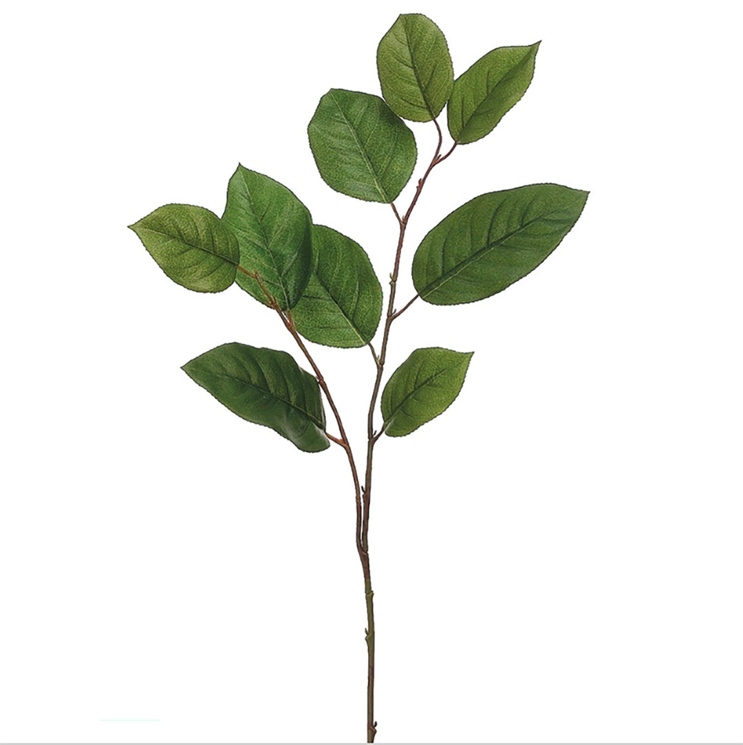 30" Variegated Green Salal Leaf Spray, Tall Greenery Stems, Artificial ...