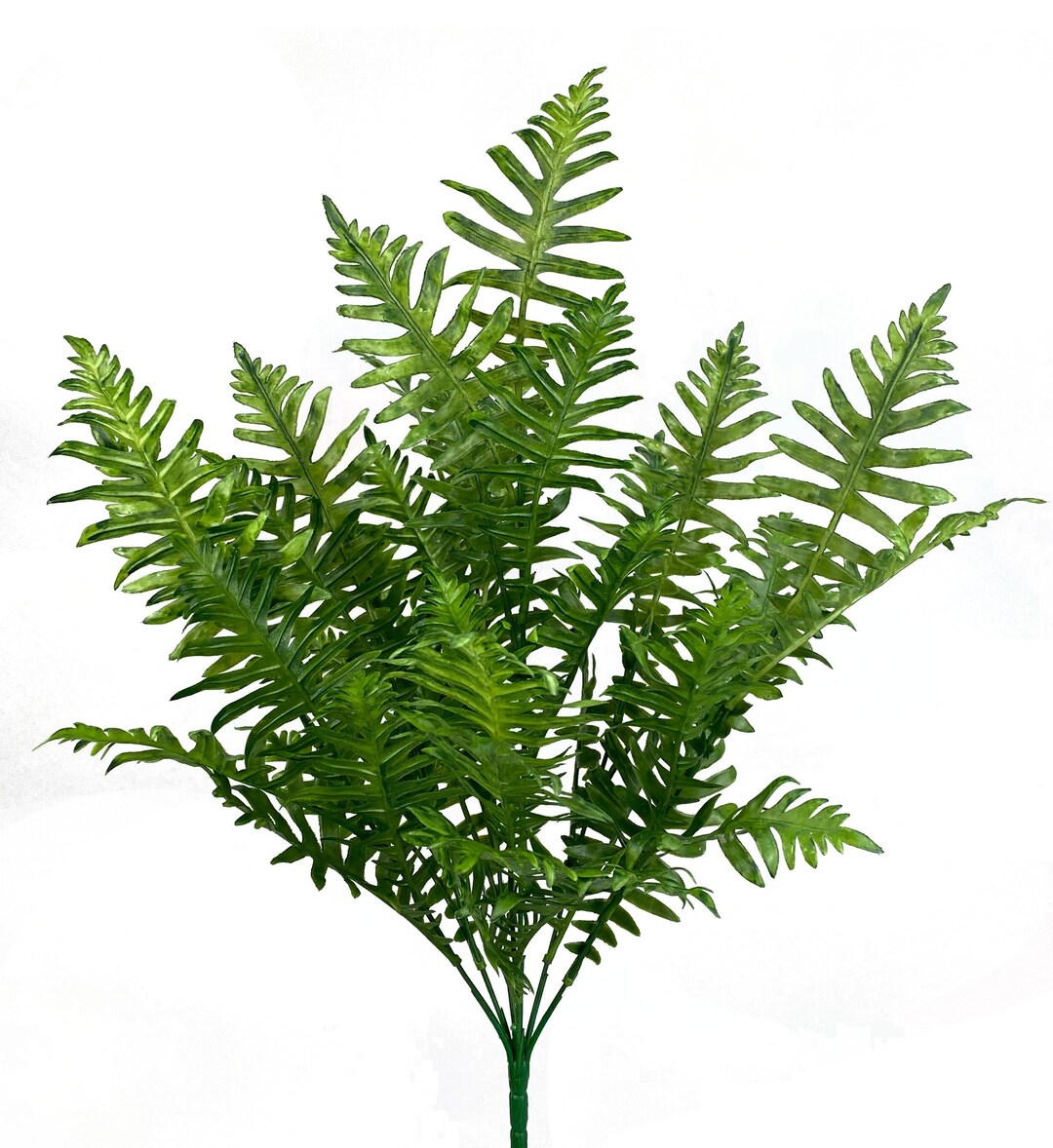 22" Leather Fern Bush, Plastic, Artificial Greenery, Indoor Outdoor ...