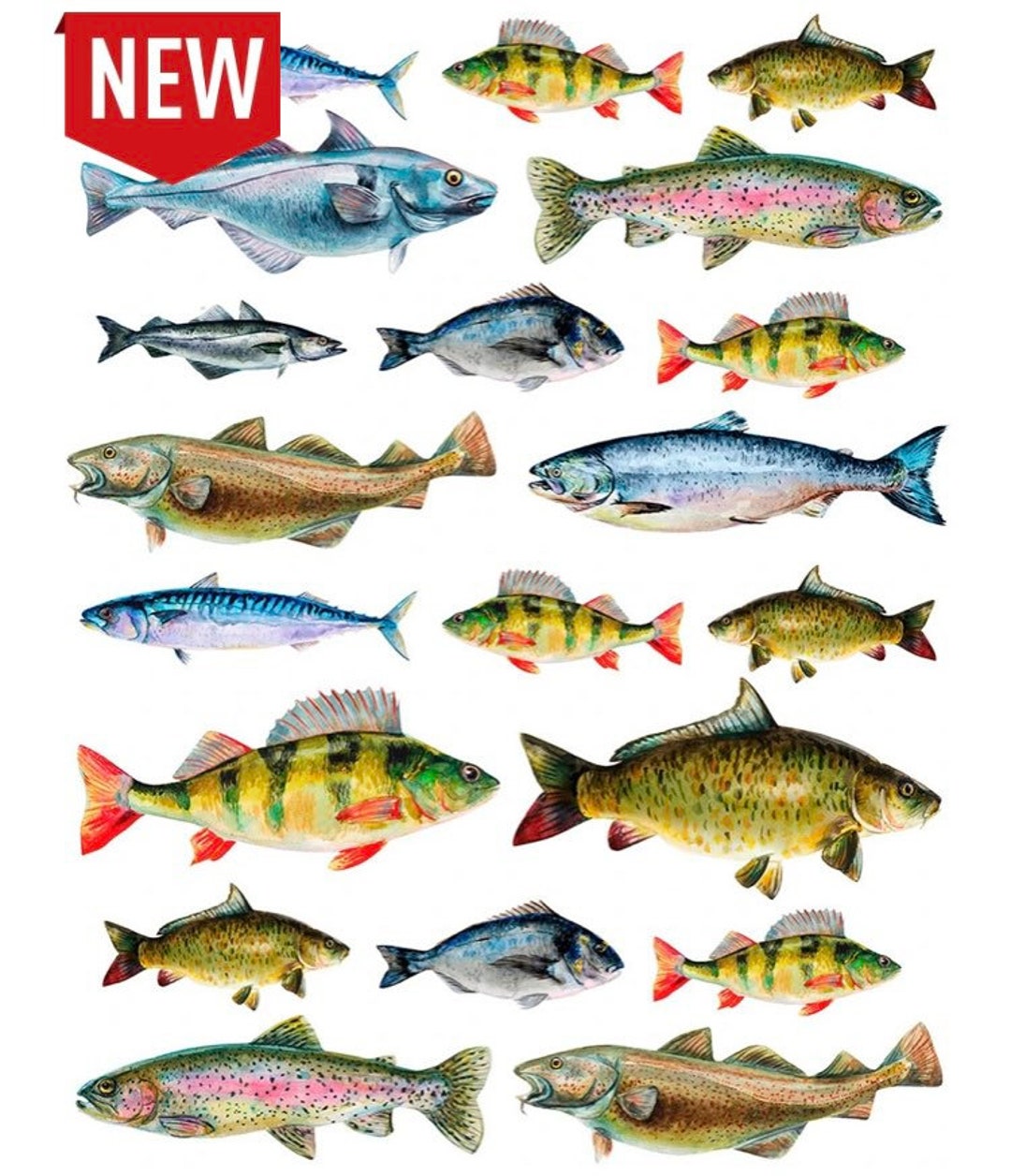 Lake Fish - Ceramic Overglaze Decal Transfers - Sanbao - Etsy