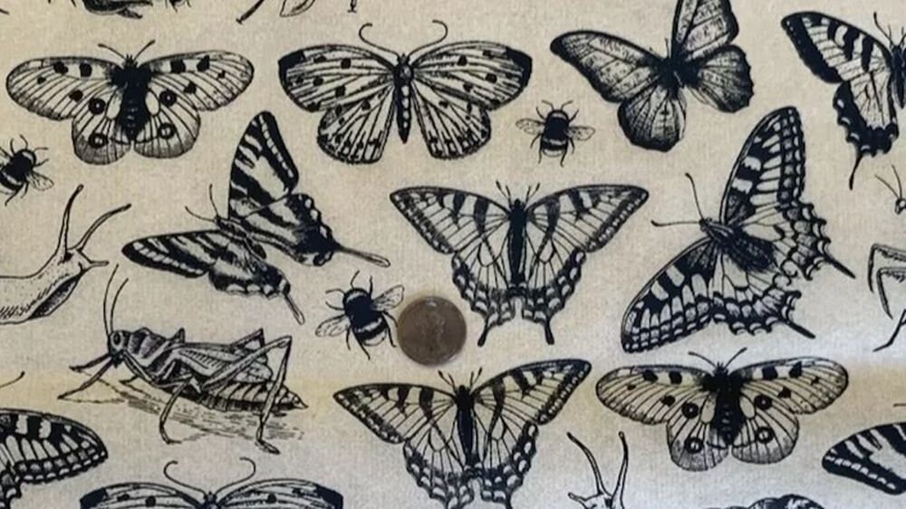 A Bugs Life Bugs and Beetles Pottery Ceramic Underglaze - Etsy Australia