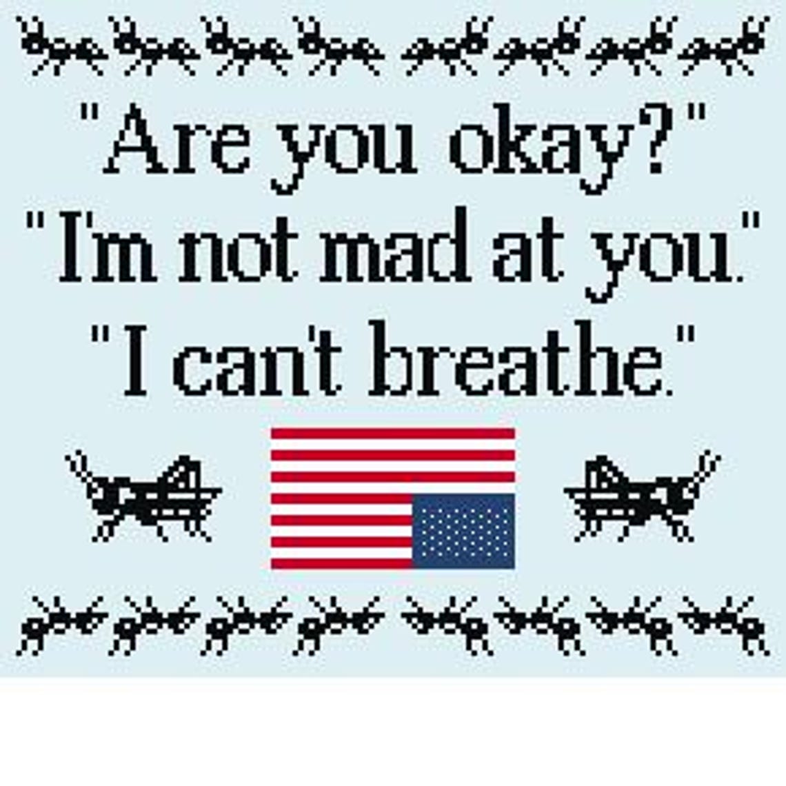 An American Anthem | Subversive Anti-ice Anti-nazi Cross Stitch Pattern ...