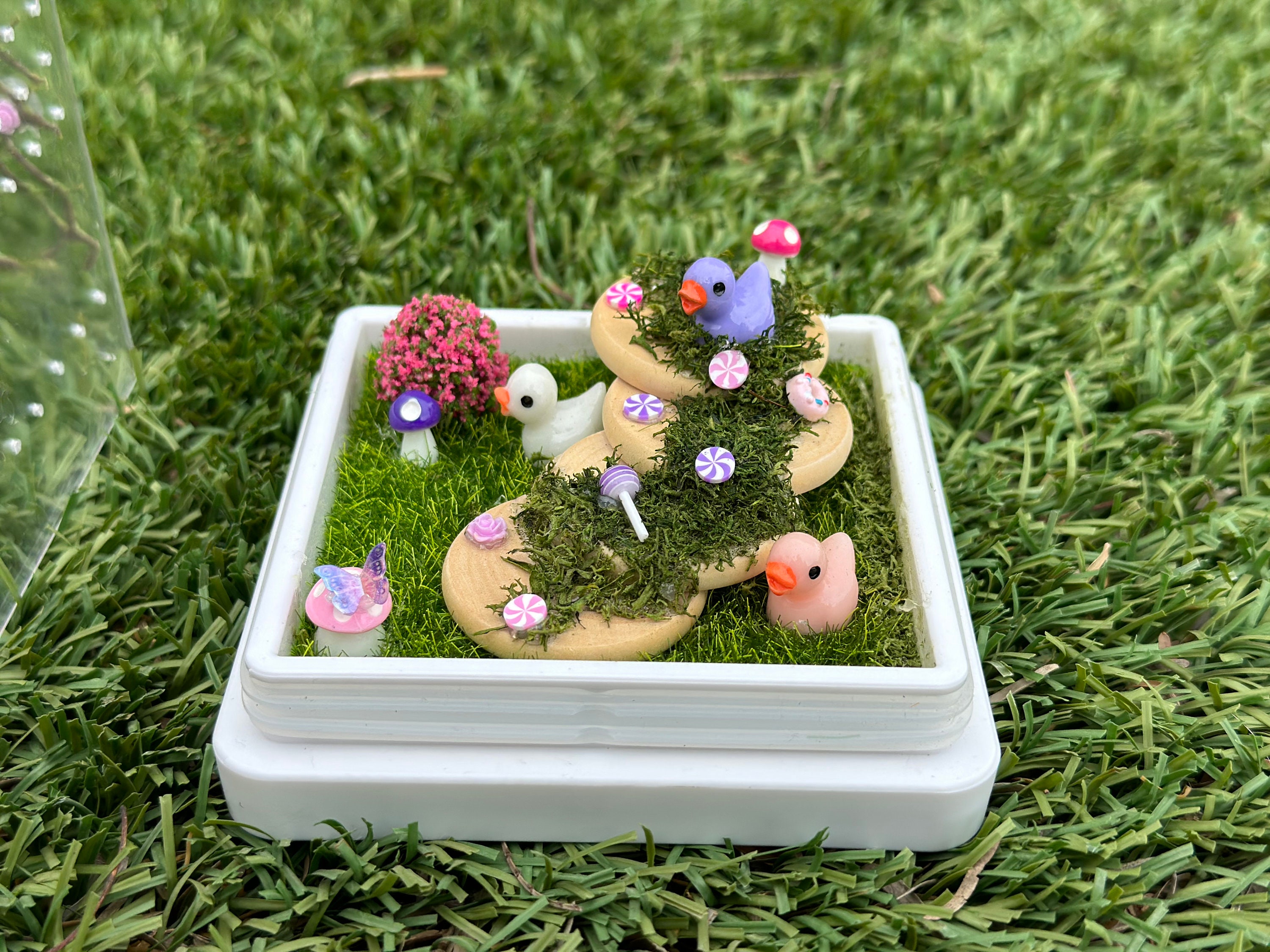 Ducky Themed Jumping Spider Enclosure - Etsy