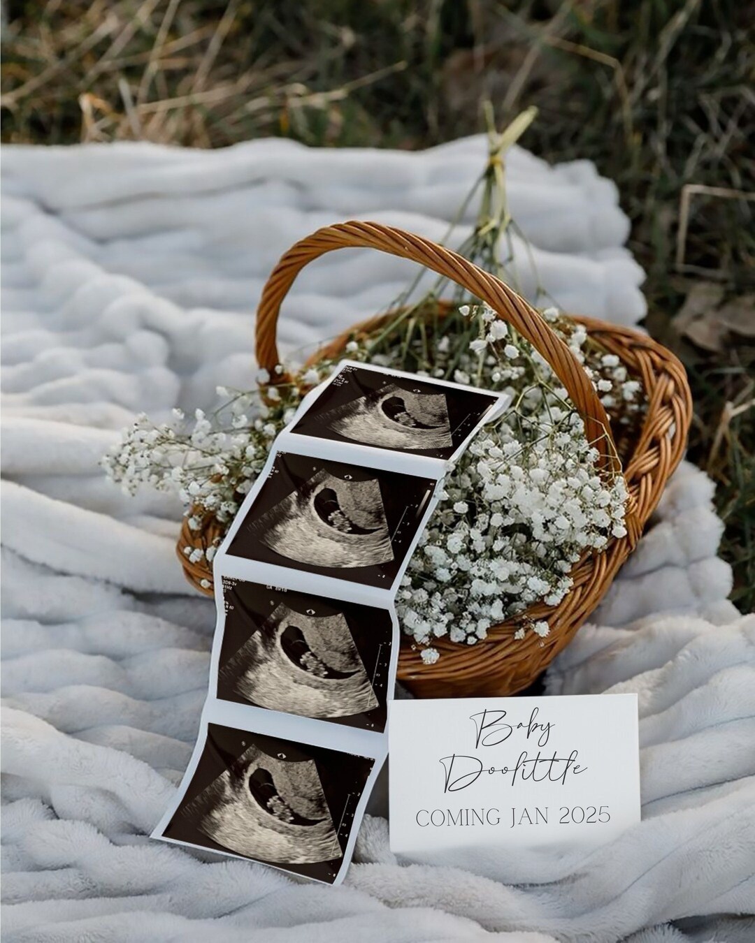 EDITABLE Spring Pregnancy Announcement | Pregnancy Announcement ...