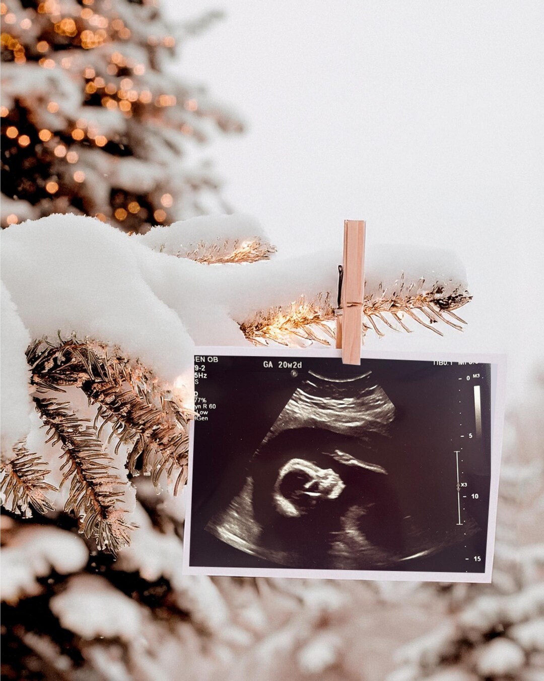 EDITABLE Winter Snow Pregnancy Announcement | Christmas Pregnancy ...