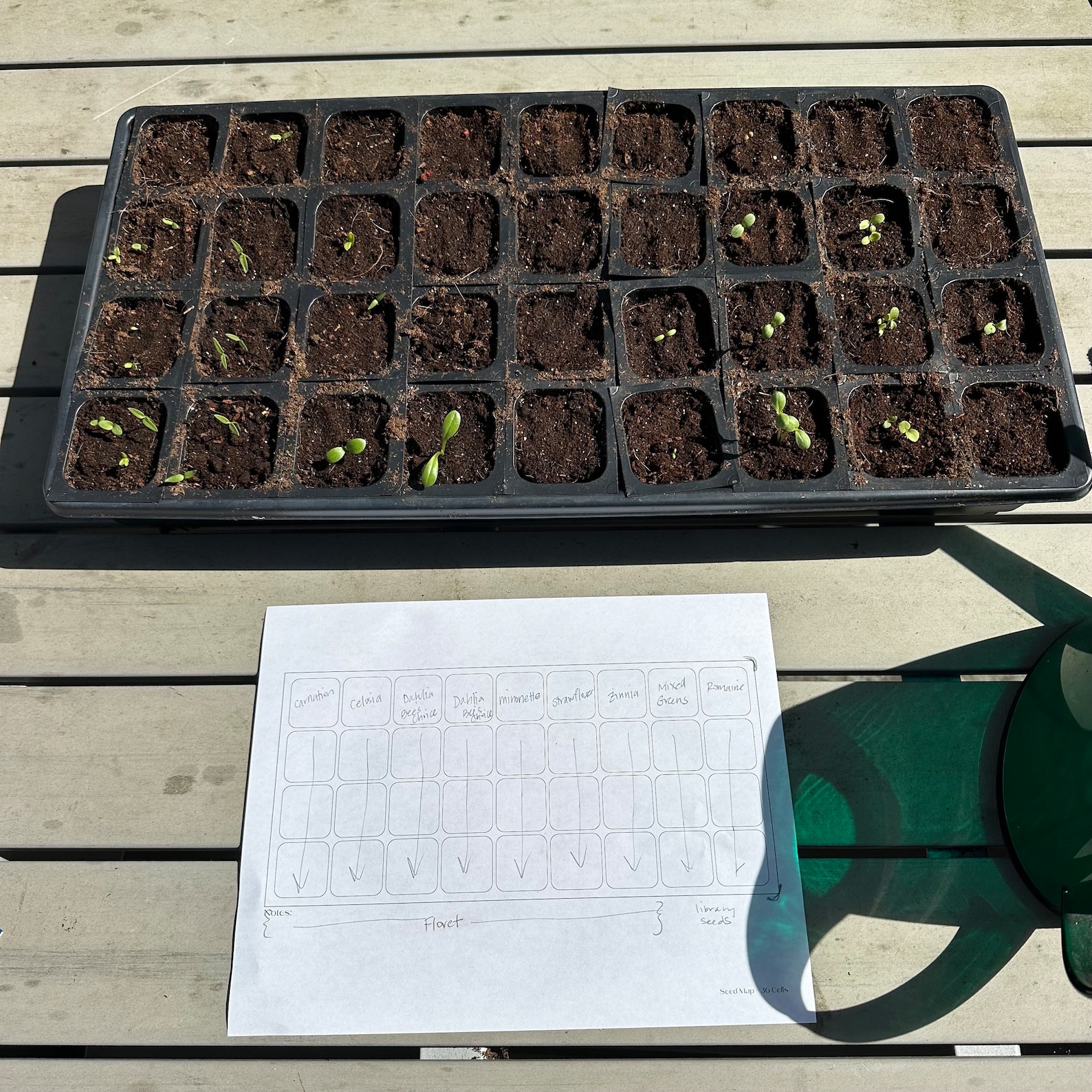 Seed Tray Map | Garden Planning | Printable | Seed Flat Cell Map ...