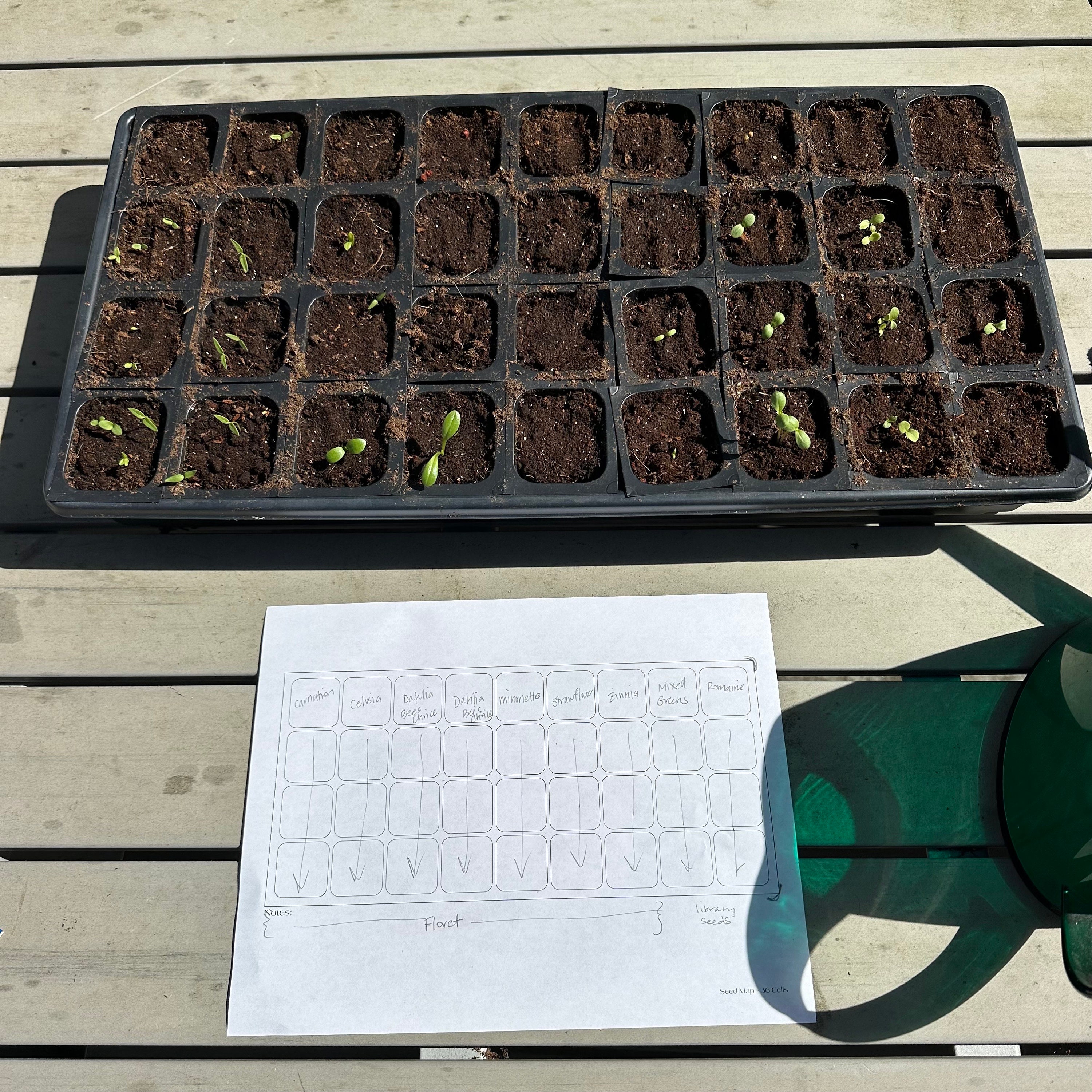 Seed Tray Map | Garden Planning | Printable | Seed Flat Cell Map ...