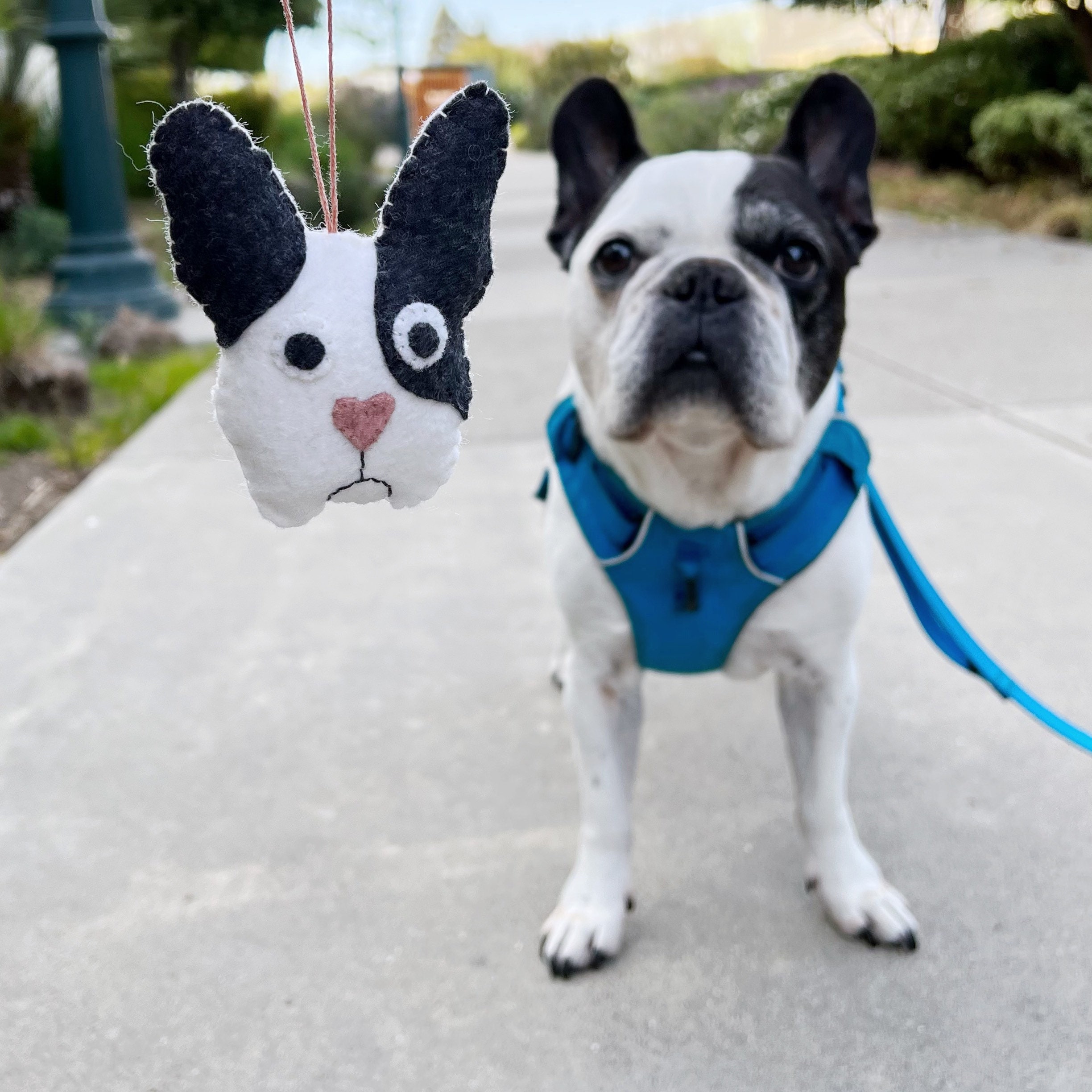 PDF Pattern - French Bulldog, Frenchie, Hand Sewn, Sewing Pattern, No ...