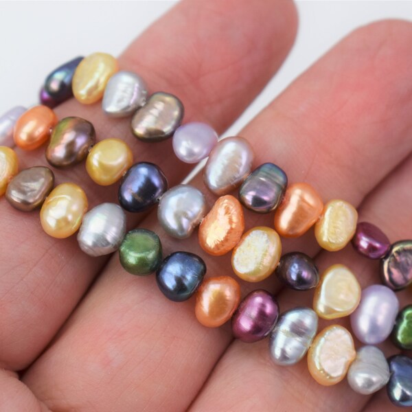 Multi Color Shell - Etsy