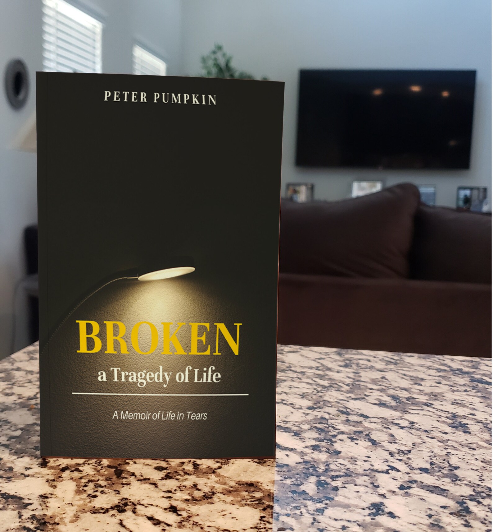Memoir Book Cover | 5.5x8.5 Canva Template With Front and Back Cover ...
