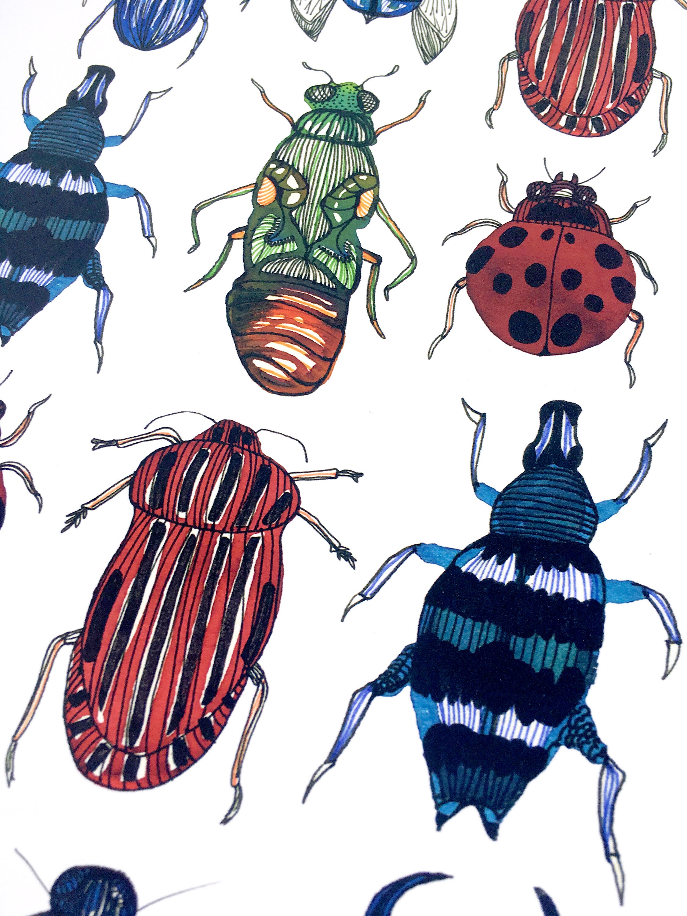 Creepy-crawly Bugs Beetles Insects Art Print - Etsy