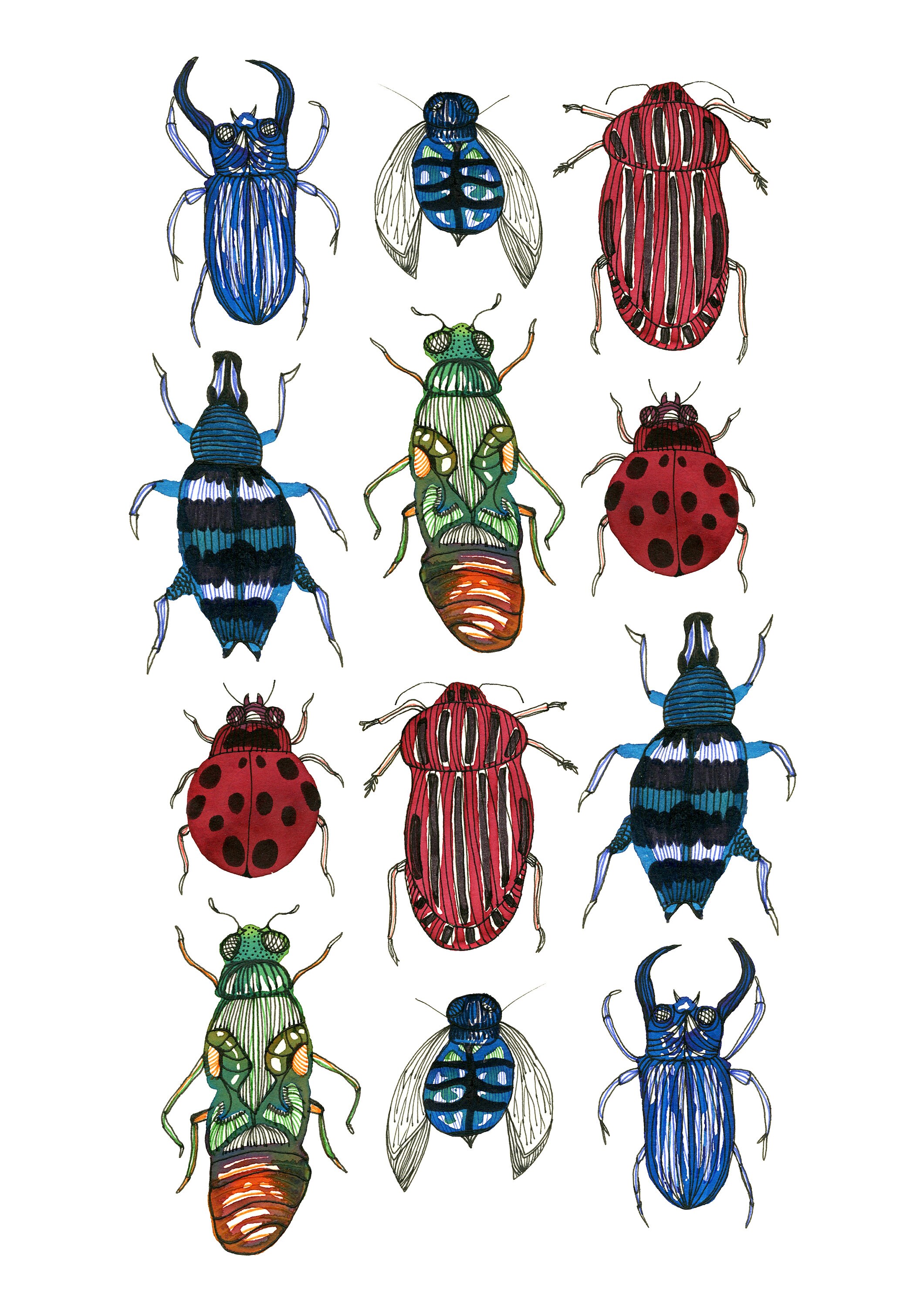 Creepy-crawly Bugs Beetles Insects Art Print - Etsy