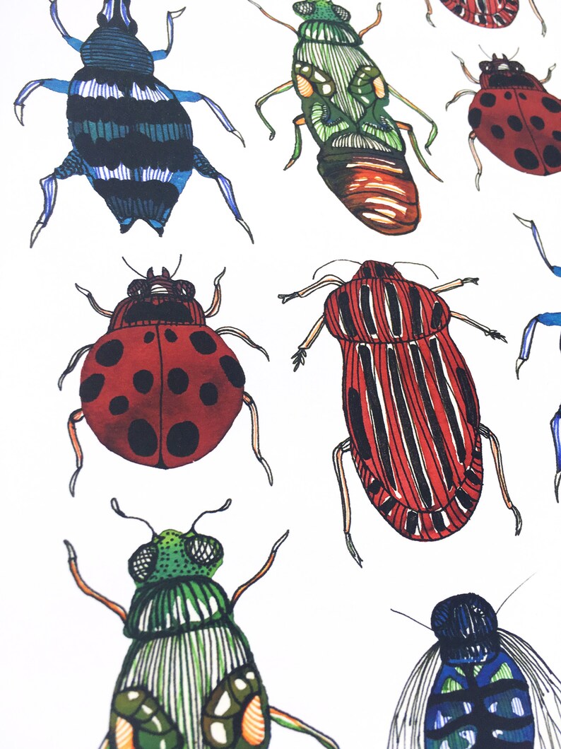 Creepy-crawly Bugs Beetles Insects Art Print | Etsy