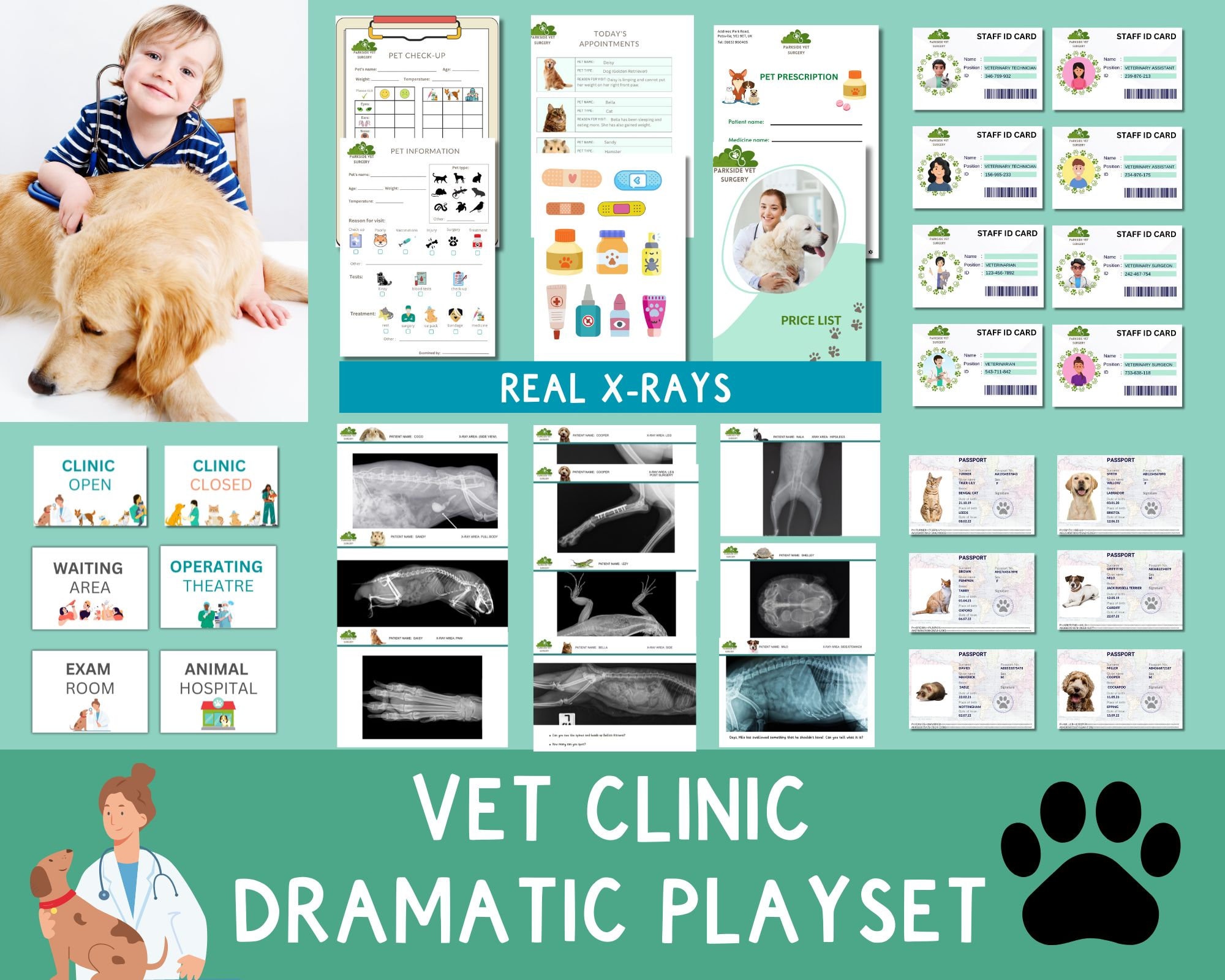 Veterinarian Dramatic Play Printable Pretend Vet Clinic - Etsy UK
