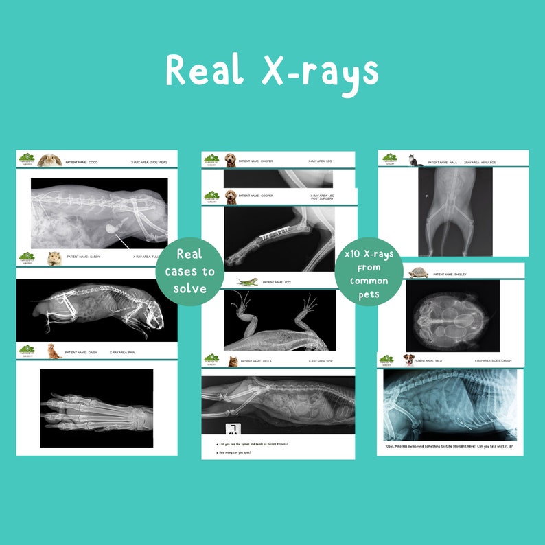 Veterinarian Dramatic Play Printable, Pretend Vet Clinic, Animal ...