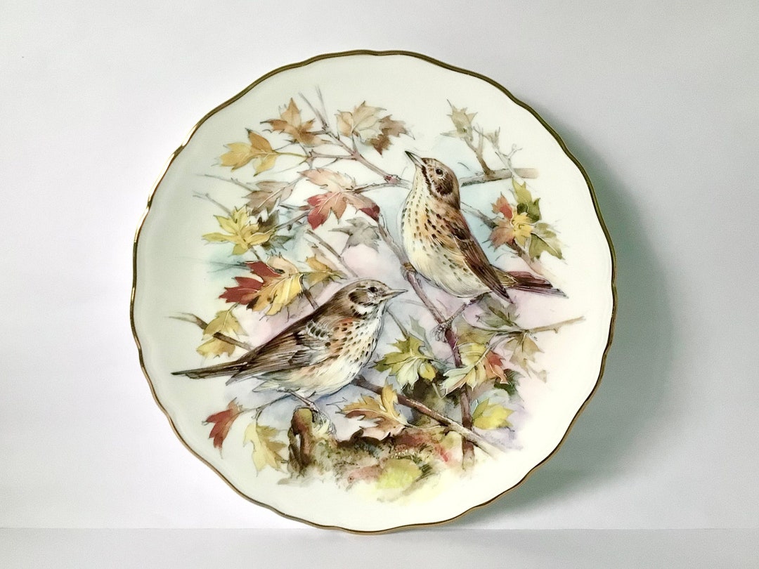 Royal Albert Garden Birds Plate,royal Albert Thrush Plate, Royal Albert ...
