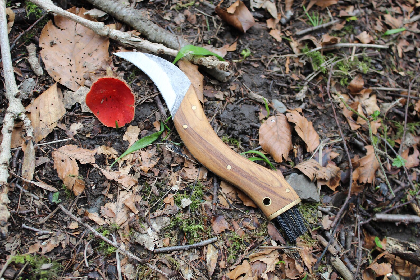 Mushroom Foraging Knife 'alcaide' - Etsy