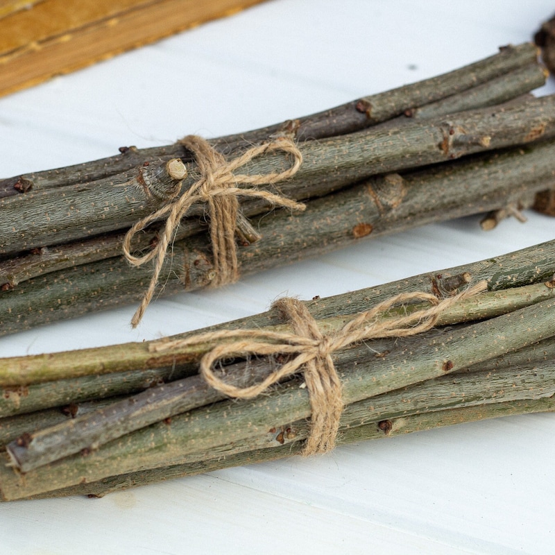 Oak Tree Branches - Etsy UK