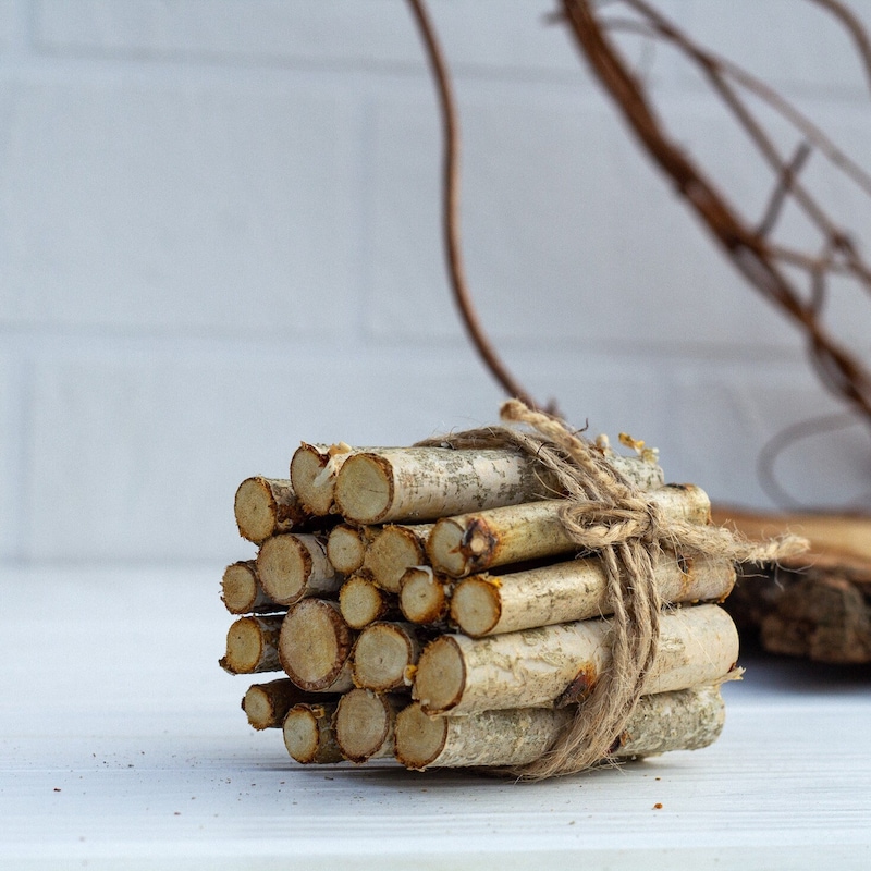 White Birch Branches - Etsy