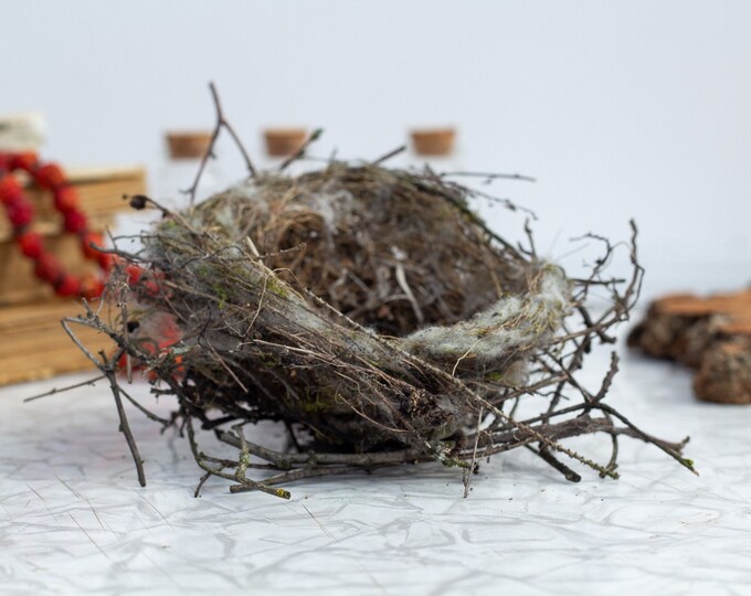 Authentic Bird Nest, Real Bird's Nests Natural Findings Natural Décor ...