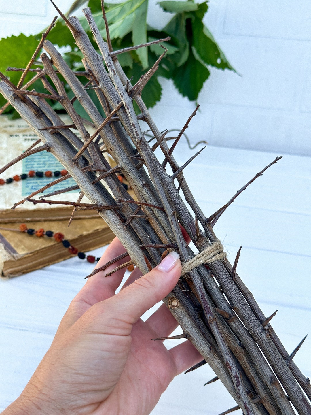 Branches of Wild Plum With Thorns , 10 Wild Plum Sticks, Branches for ...