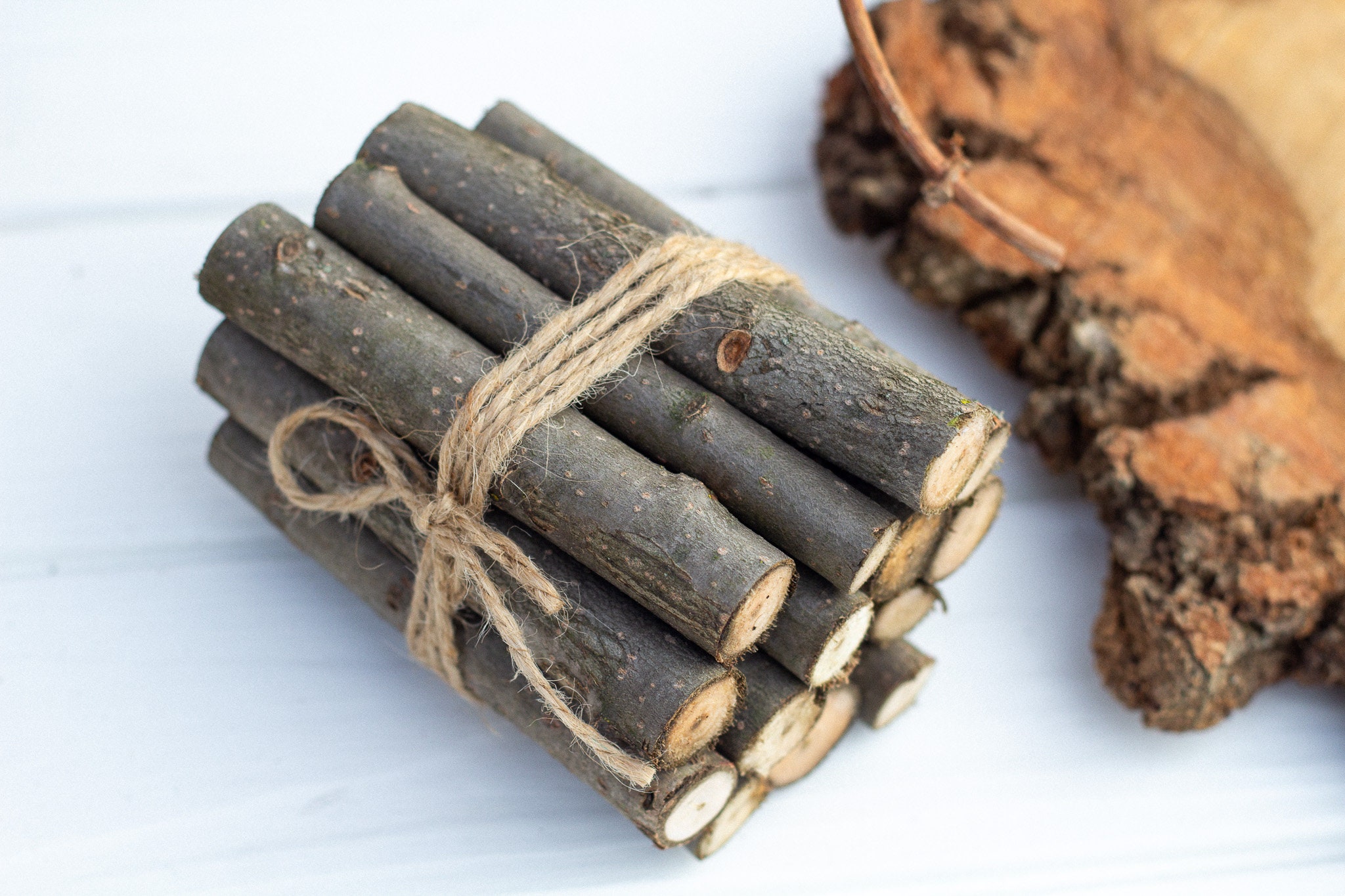 Aspen Branches Set of 13, Natural Dried Branches, Aspen Sticks ...
