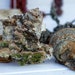 Large Box of Forest Finds Forest Decorations Forest Decoration Box ...